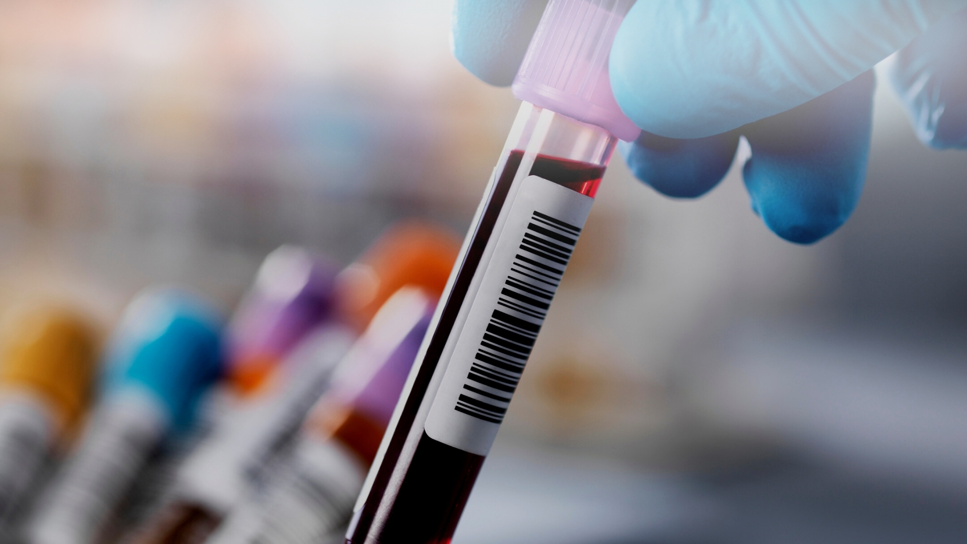 Edukim – CARDIOplus & Partners